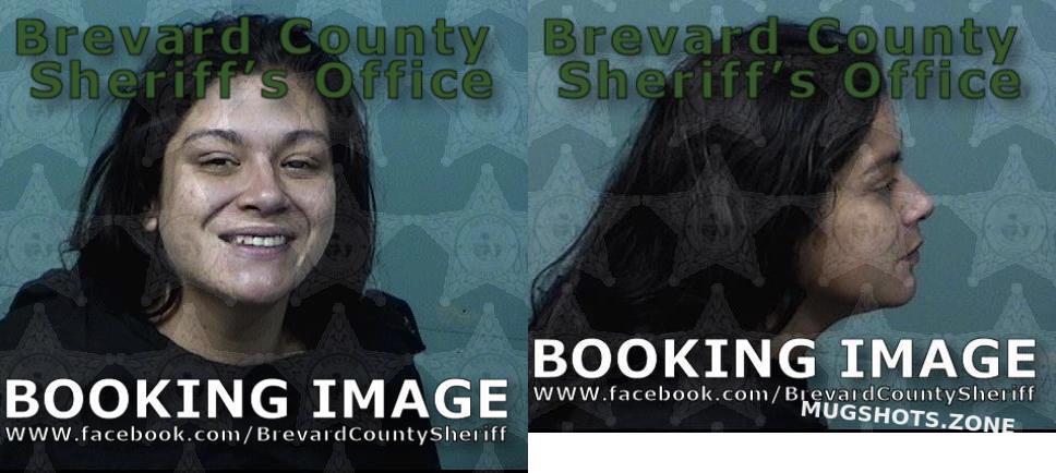 FRAZIER CORTNEY ANNE 05/04/2023 - Brevard County Mugshots Zone