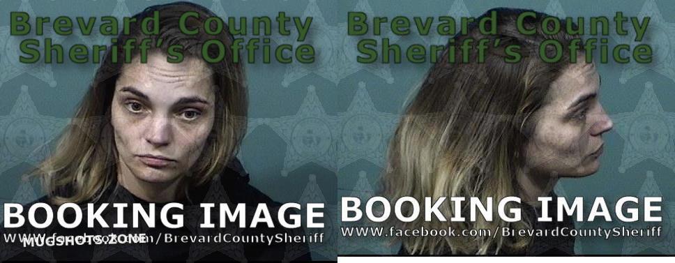 FORTNER SARA DAWN 05/15/2023 - Brevard County Mugshots Zone
