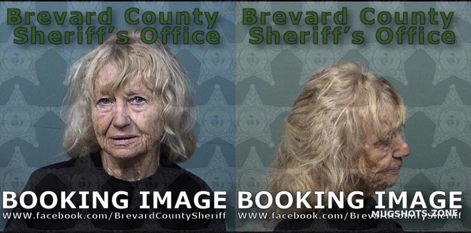 ALWIN BARBARA ANNE-ROSE 05/17/2023 - Brevard County Mugshots Zone