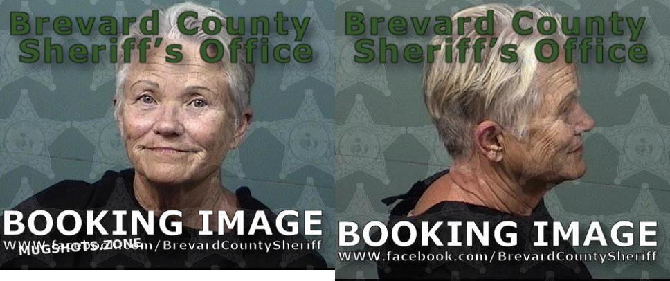 CRAIN DAISY CECELIA 05/30/2023 - Brevard County Mugshots Zone CRAIN DAISY CECELIA 05/30/2023 - Brevard County Mugshots Zone