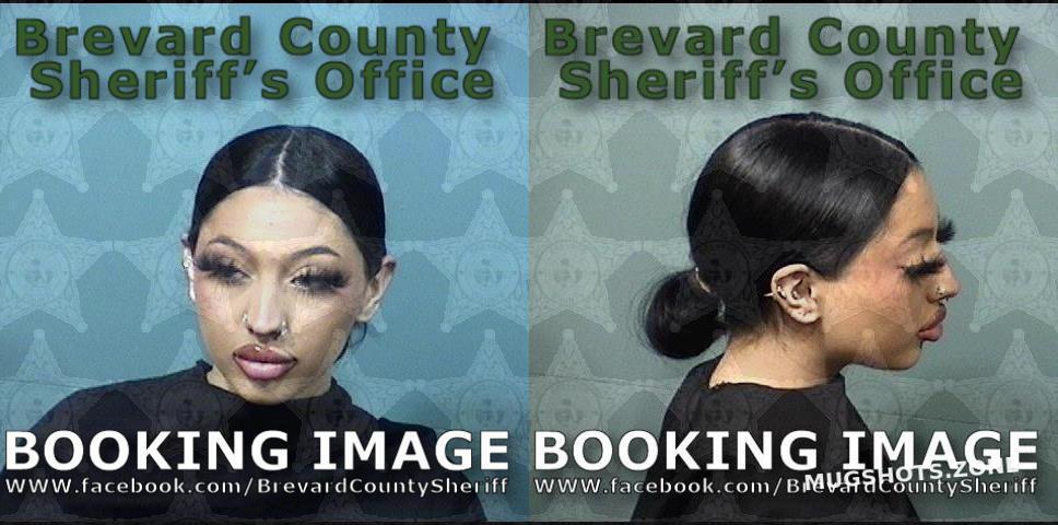 HEITZ-CANALES CHRISTINA NICOLE 06/10/2023 - Brevard County Mugshots Zone