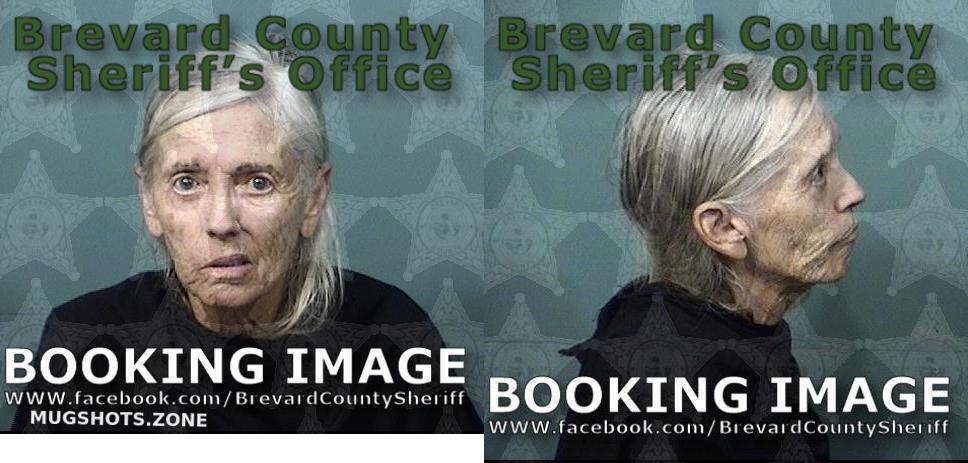 DENTON BRENDA JOY 06/16/2023 - Brevard County Mugshots Zone