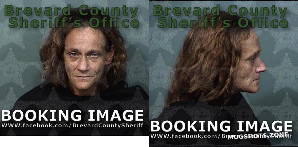 SYSOL LISA MARIE 07/03/2023 - Brevard County Mugshots Zone
