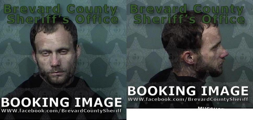 BEAR JOSEPH DOUGLAS MICHAEL 07/11/2023 - Brevard County Mugshots Zone