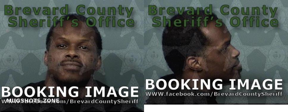 CRAIG TERRY LYNN 07/25/2023 - Brevard County Mugshots Zone