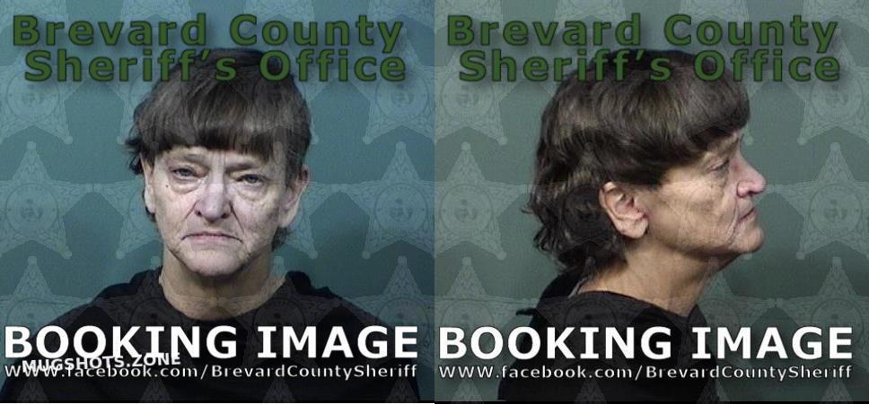TIPPS LOUISE FRANCES 07/25/2023 - Brevard County Mugshots Zone