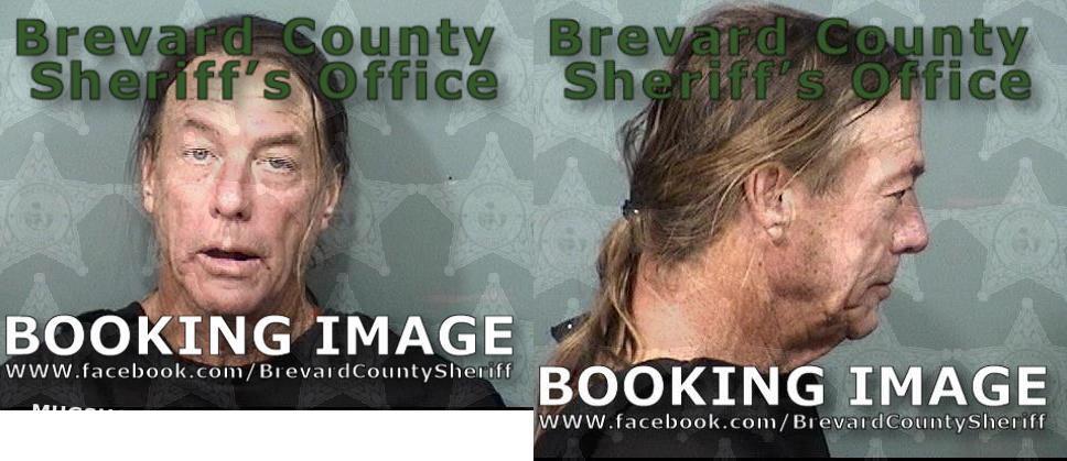 PIERCE RALPH RICHARD 08/30/2023 - Brevard County Mugshots Zone