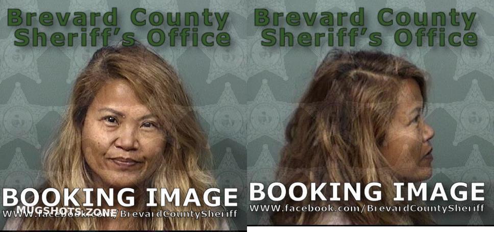 JOHNSON NANCY CALMA 10/20/2023 - Brevard County Mugshots Zone