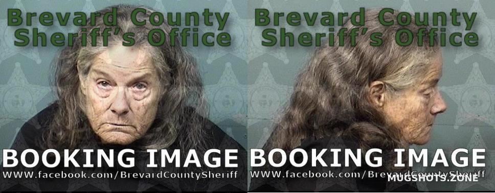 GORE SALLY LOOMIS 10/21/2023 - Brevard County Mugshots Zone