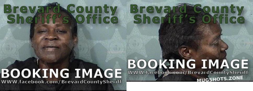 SNEED BONNIE RUTH 10/25/2023 - Brevard County Mugshots Zone