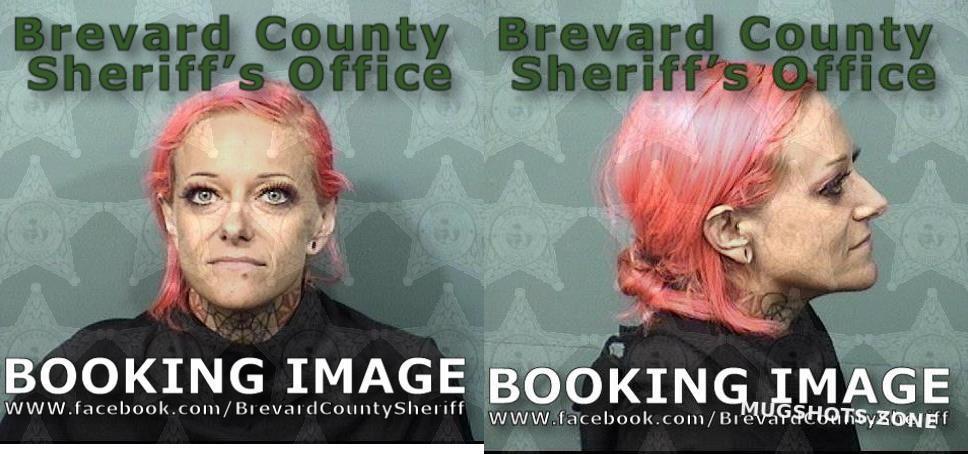 FERRELL MICHELLE NICOLE 10/30/2023 - Brevard County Mugshots Zone
