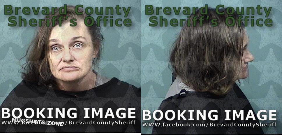 TIERNEY STACEY COLLEEN 11/01/2023 - Brevard County Mugshots Zone
