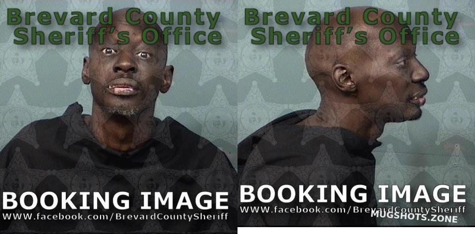 KELLY SHAWN LAMONTE 11/02/2023 - Brevard County Mugshots Zone