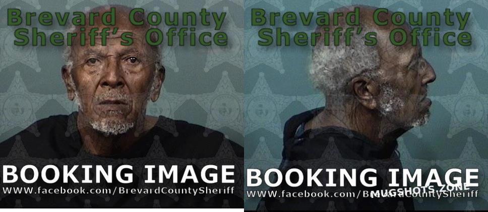 NELSON JOHN 11/08/2023 - Brevard County Mugshots Zone