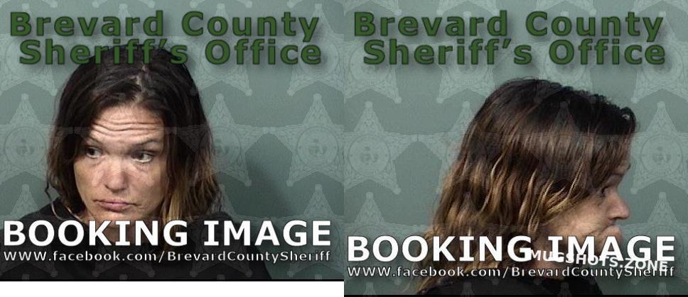 GOODWIN TRACY ELIZABETH 11/14/2023 - Brevard County Mugshots Zone
