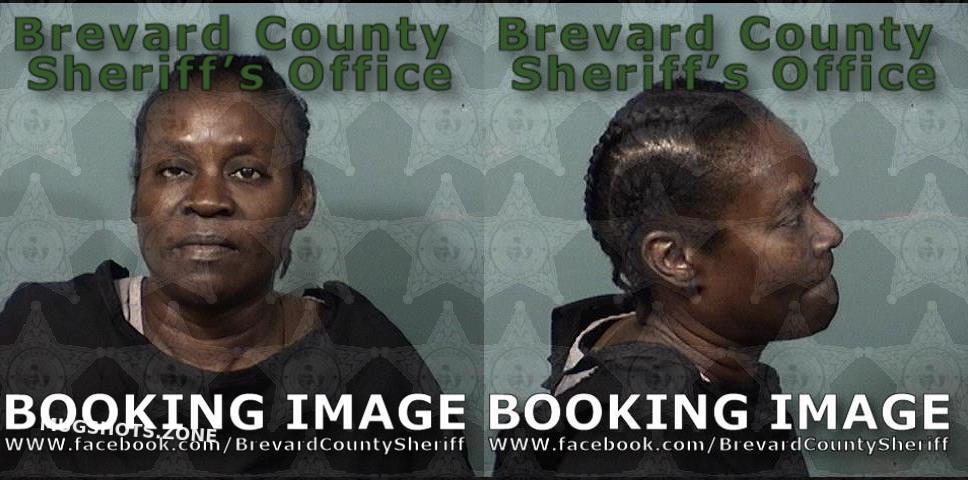 SNEED BONNIE RUTH 11/15/2023 - Brevard County Mugshots Zone