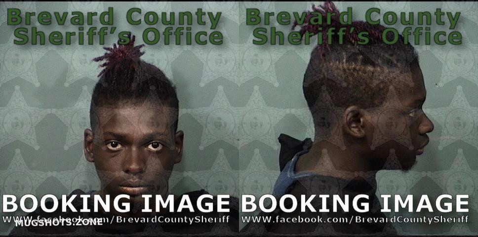 PIERCE ALVIN FITZGERALD 11/21/2023 - Brevard County Mugshots Zone
