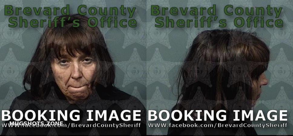 MCCOY ERICA LYN 11/26/2023 - Brevard County Mugshots Zone