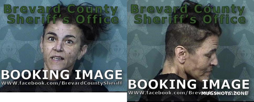WALKER ANGELA RAE 11/27/2023 - Brevard County Mugshots Zone