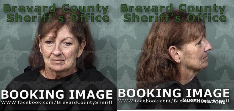 HALL BARBARA ANNE 12/01/2023 - Brevard County Mugshots Zone
