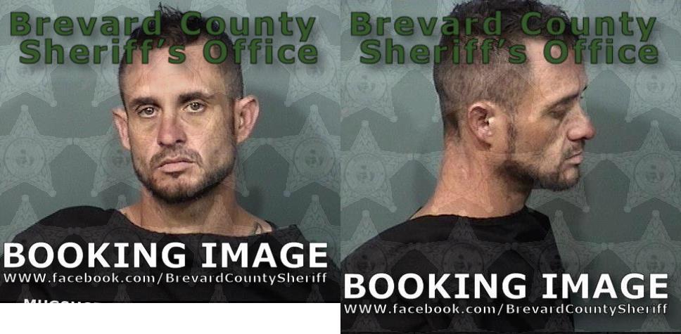 HOWARD RANDALL ADAM 12/04/2023 - Brevard County Mugshots Zone