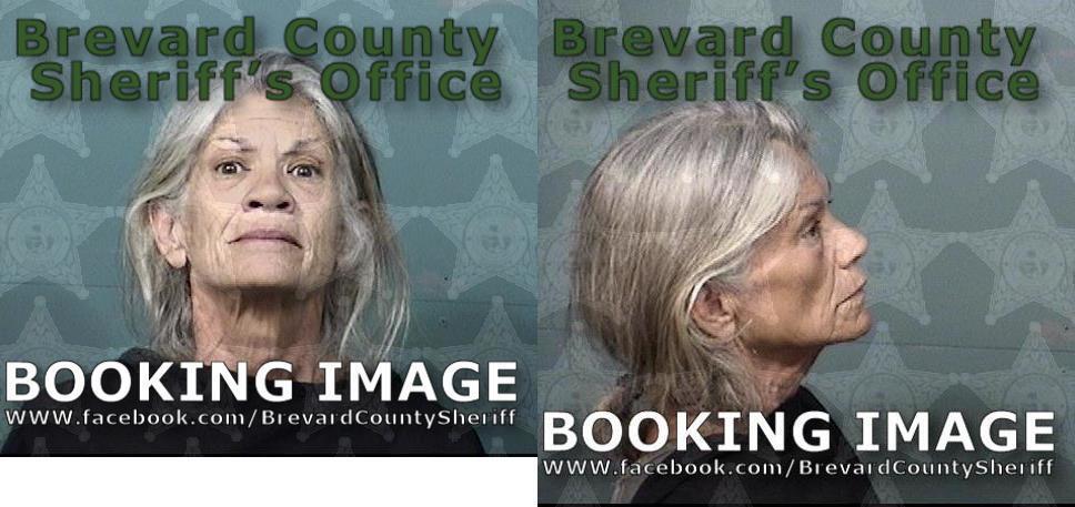 TERRY RHONDA ALLEN 12/07/2023 - Brevard County Mugshots Zone