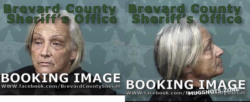MORAN PATRICIA ANN 12/26/2023 - Brevard County Mugshots Zone