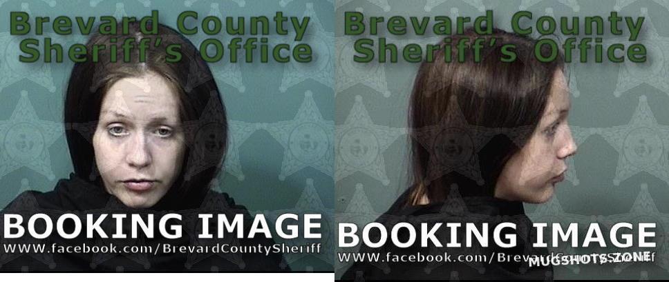 CIOLFI TRINITY RAVEN 12/29/2023 - Brevard County Mugshots Zone