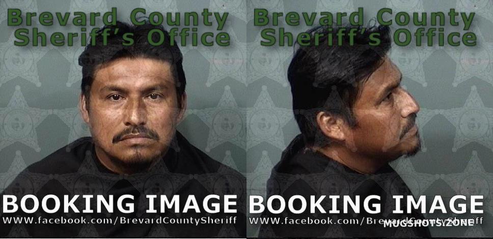 CASTRO OCHOA WILLIAM BENIGNO 01/02/2024 - Brevard County Mugshots Zone
