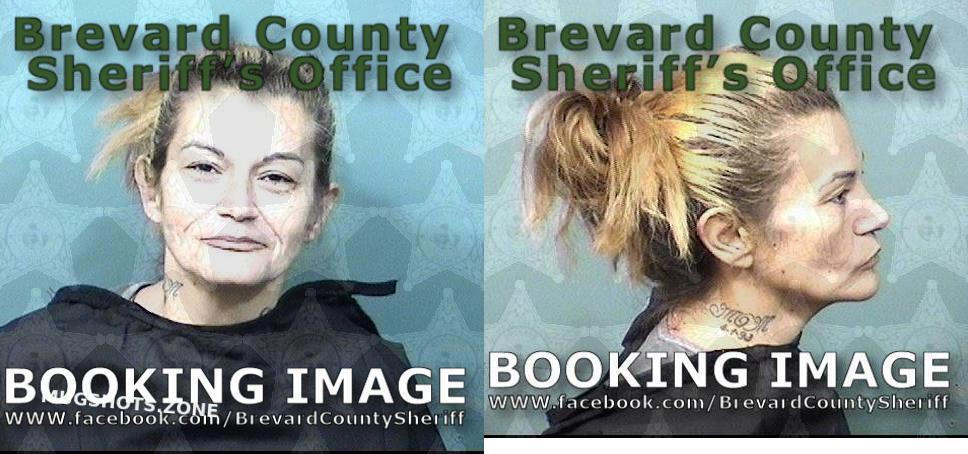DUNLAP DEANDRA KAY 01/26/2024 - Brevard County Mugshots Zone