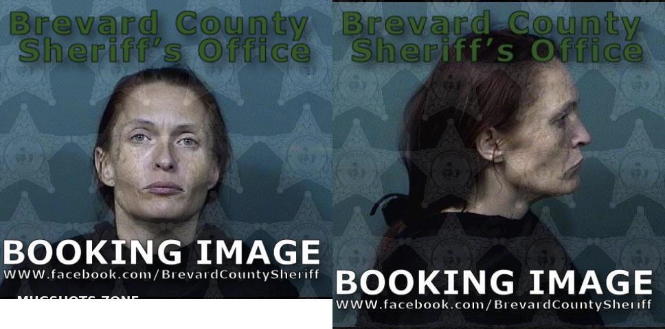 OVERTON KELLY LYNN 01/27/2024 - Brevard County Mugshots Zone