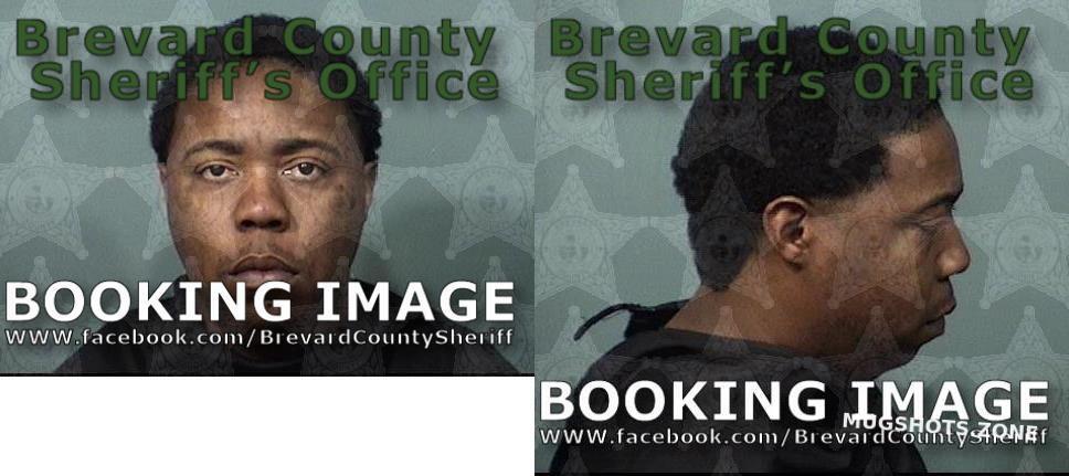 HARVEY XAVIER ALONZO 01/30/2024 - Brevard County Mugshots Zone