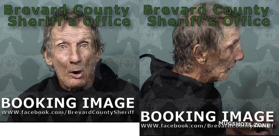 LUKE STEVEN MARTIN 02/05/2024 - Brevard County Mugshots Zone