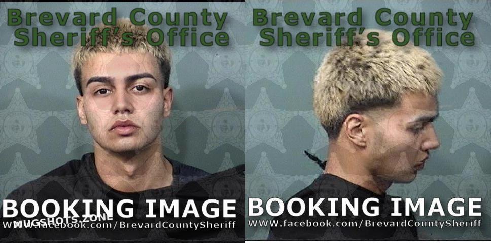 GONZALEZ BRYAN 02/14/2024 - Brevard County Mugshots Zone