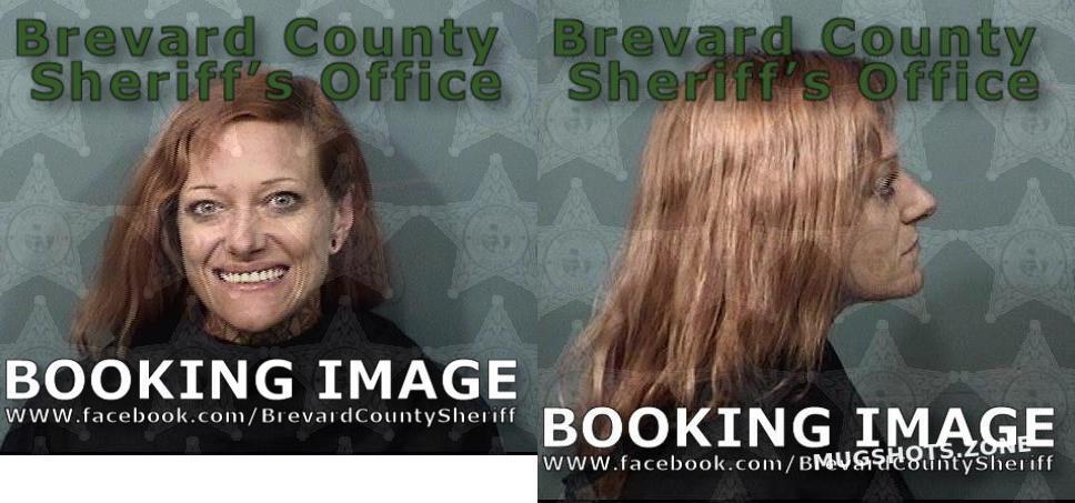 FERRELL MICHELLE NICOLE 02/20/2024 - Brevard County Mugshots Zone