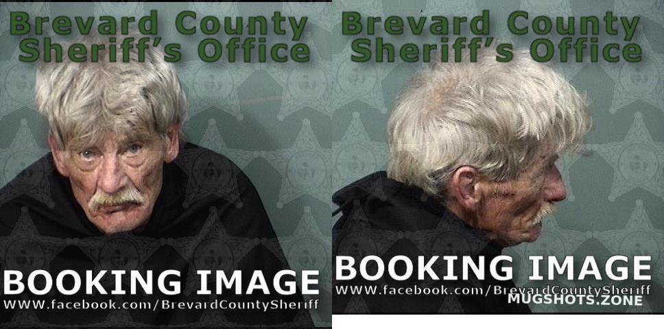 DAYTON DOMINICK MICHAEL 02/22/2024 - Brevard County Mugshots Zone