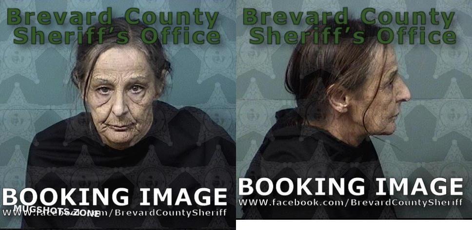 MORELLI LAURA JEANNE 02/23/2024 - Brevard County Mugshots Zone