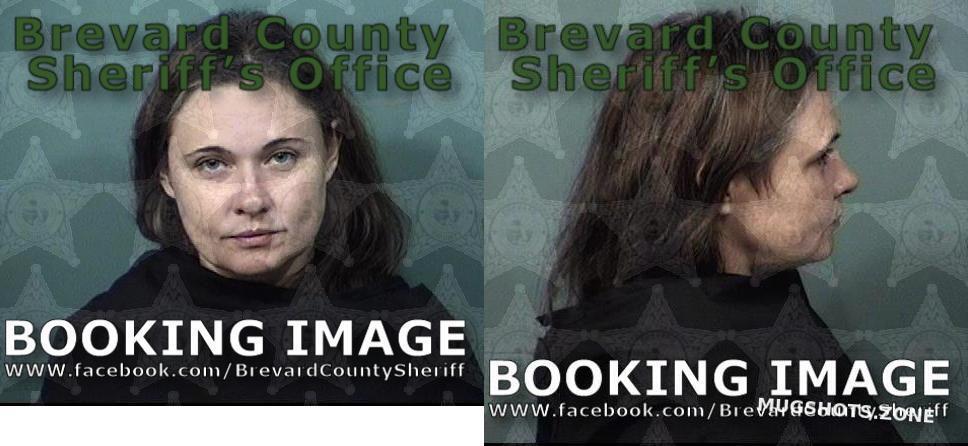 HARPER TABATHA CHRISTIE 03/06/2024 - Brevard County Mugshots Zone