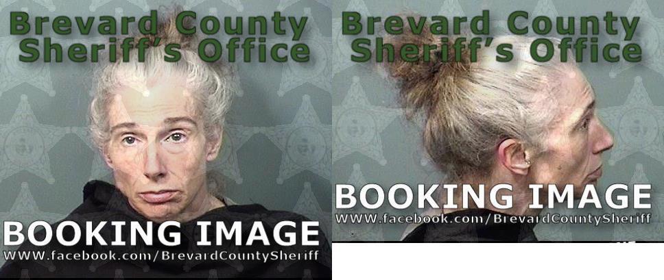 BEVINS AMY LYNN 03/16/2024 - Brevard County Mugshots Zone