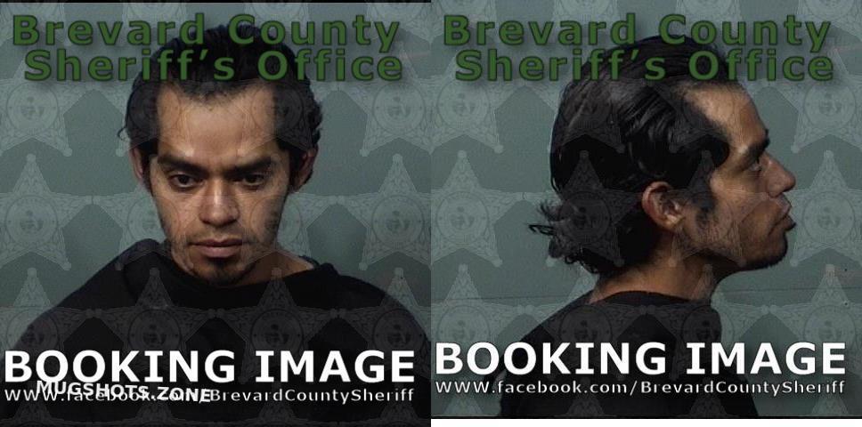 BARRIENTOS ALEXANDER EDDY 03/28/2024 - Brevard County Mugshots Zone