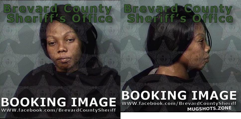 PRATT ASHLEY NICOLE 04/01/2024 - Brevard County Mugshots Zone