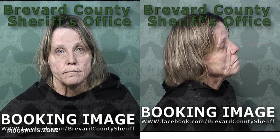 ANDRUS HOLLY BETH 04/07/2024 - Brevard County Mugshots Zone