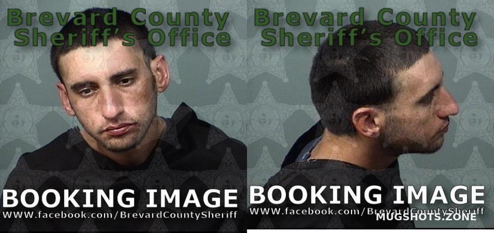 SOLLOWAY DYLAN LOUIS 04/10/2024 - Brevard County Mugshots Zone