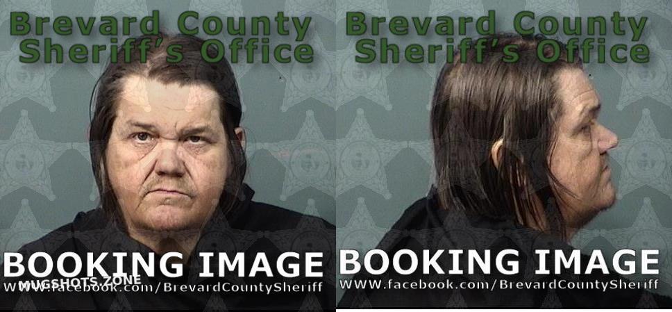 MOSLEY JASON MICHAEL 04/12/2024 - Brevard County Mugshots Zone