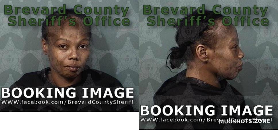 PRATT ASHLEY NICOLE 04/17/2024 - Brevard County Mugshots Zone