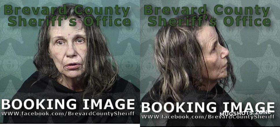 HOBDAY CARMAN KAY 04/20/2024 - Brevard County Mugshots Zone