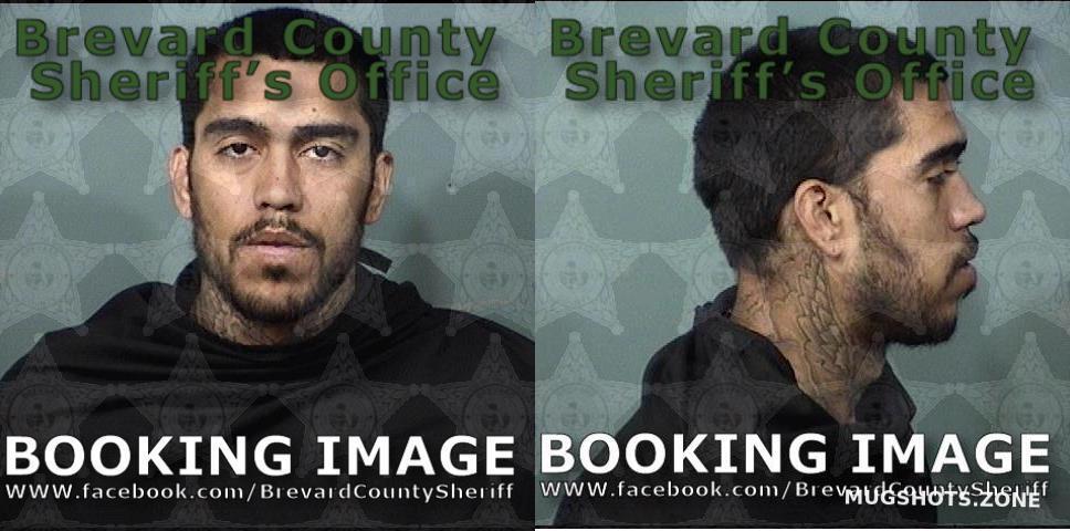 PEREZ NIEVES STEVEN XAVIER 04/20/2024 - Brevard County Mugshots Zone