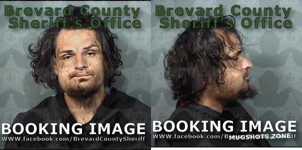 LOWENTHAL DANIEL EDWIN 04/28/2024 - Brevard County Mugshots Zone