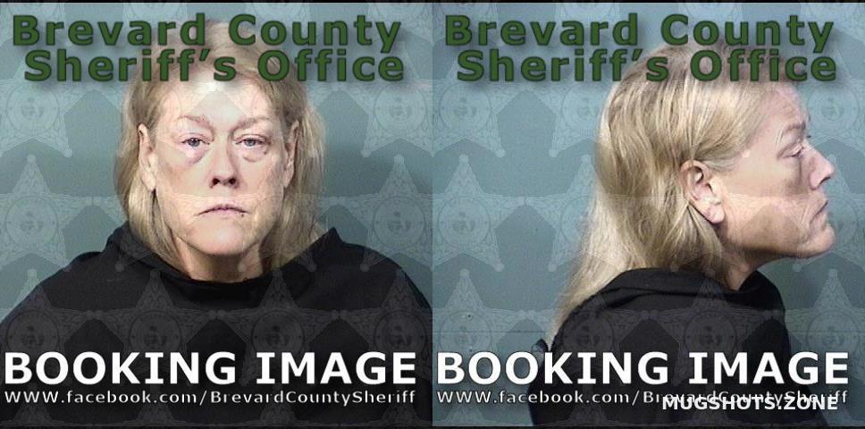 KLITZ LISA KAY 06/02/2024 - Brevard County Mugshots Zone