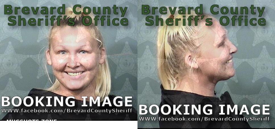 LIGHTNER HANNAH NOEL 06/11/2024 - Brevard County Mugshots Zone